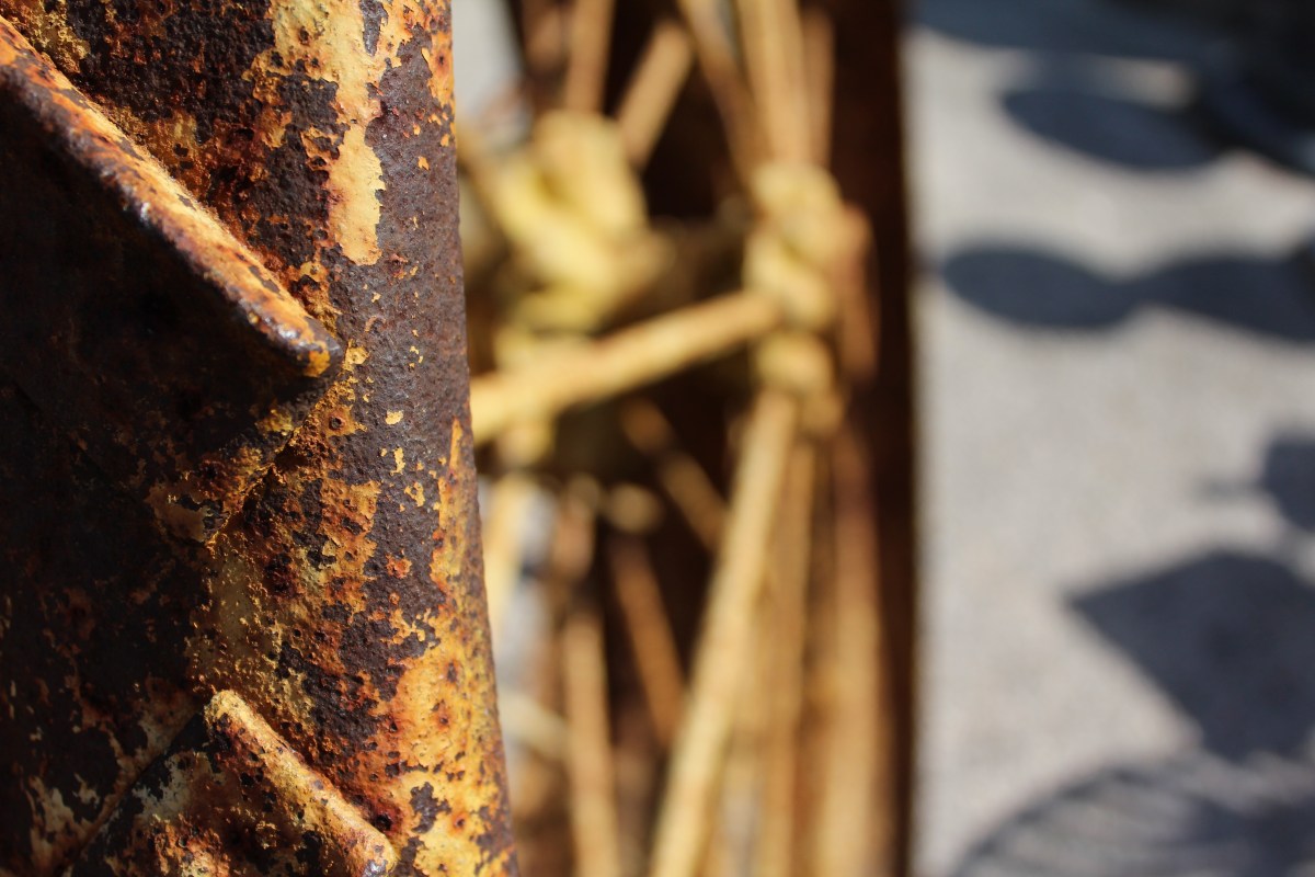 The Treasure Hunt Begins – Humble Tree Company